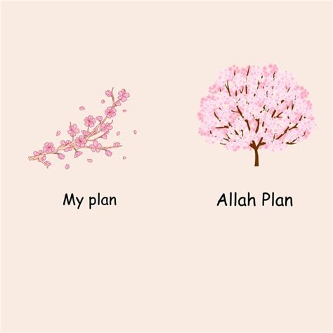 Allah Plans ️ Ya Allah I Ask You For A Good End In This World And In The Hereafter Koran