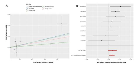Illustration Of The Causal Analysis Between Elevated Mpo Levels And