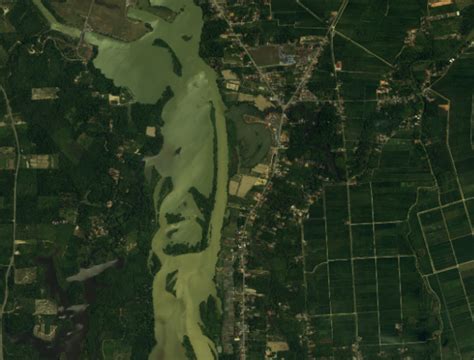 Success Stories Lc60 Ai