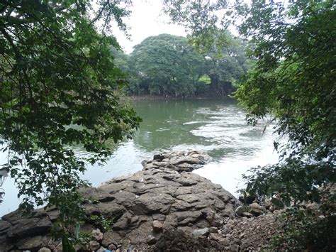 River An Outdoor Classroom