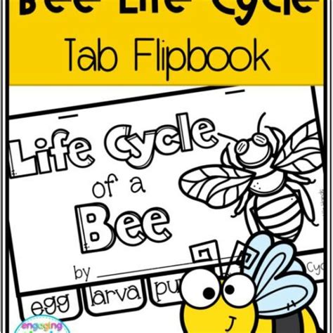 Life Cycle Of A Bee Tab Flip Book Classful