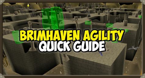 Calcified Rocks Guide Varlamore Afk Mining Spot Osrs Guide