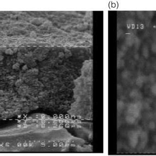 The SEM Images Of The TiO2 Photocatalyst Coatings Download Scientific Diagram
