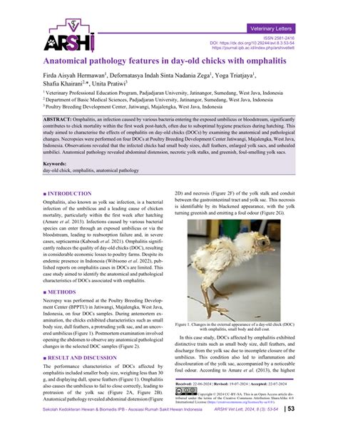 Pdf Anatomical Pathology Features In Day Old Chicks With Omphalitis
