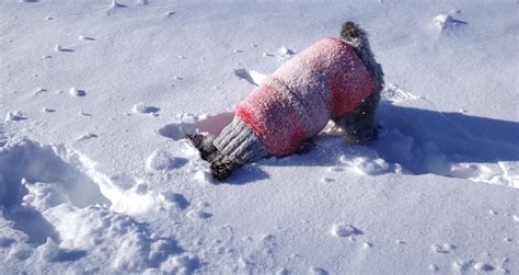 A Teacher First A Teacher First Added A New Photo