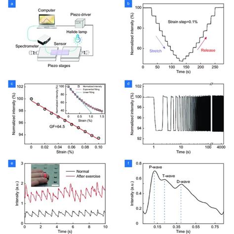The Strain Response Of The Sensor A Schematic Diagram Of The