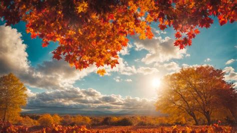 Premium Photo Beautiful Sky Clouds Autumn Sunlight Colored Autumn Leaves