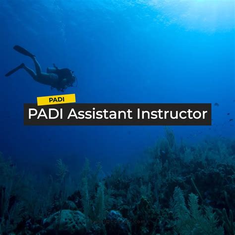 Assistant Instructor Padi Gopro Idc Career