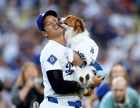 The Furry Performance Enhancers That Are Sweeping The World Of Sports