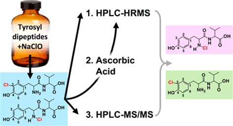 Achem Ascorbic Acid Assisted High Performance Liquid Chromatography Mass Spectrometry
