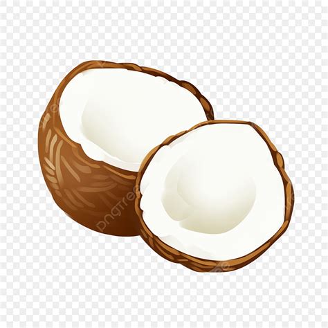 Coconut Fruit Cartoon