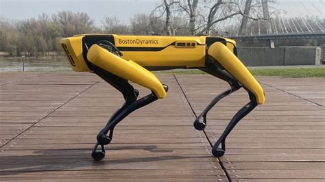 Nowość W Centrum Nauki Kopernik Poznajcie Spota Psa Robota Rmf 24