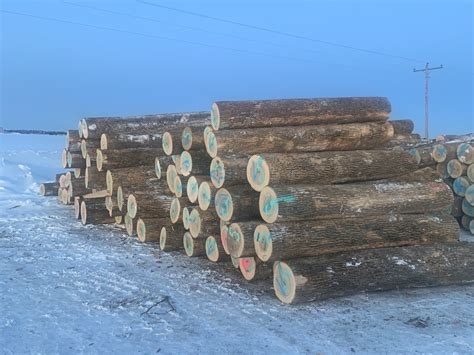 Ash Logs Kretz Lumber