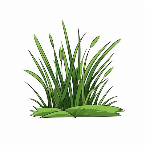 Premium Vector Grass Flat Vector Illustration Grass Cartoon Hand Drawing Isolated Vector