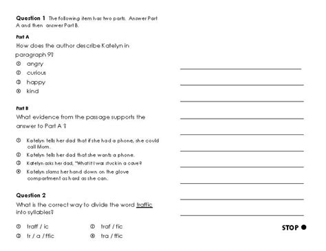 3rd Grade Tn Ready Tcap Ela Practice Test A By Ms Mccray The Assessment Angel