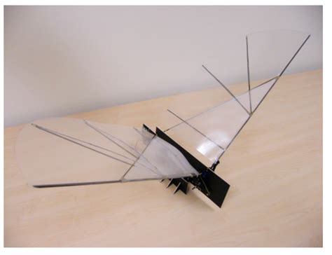 Ornithopter Type Flapping Wings For Autonomous Micro Air Vehicles