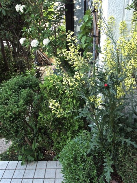 風のゆきつくところ