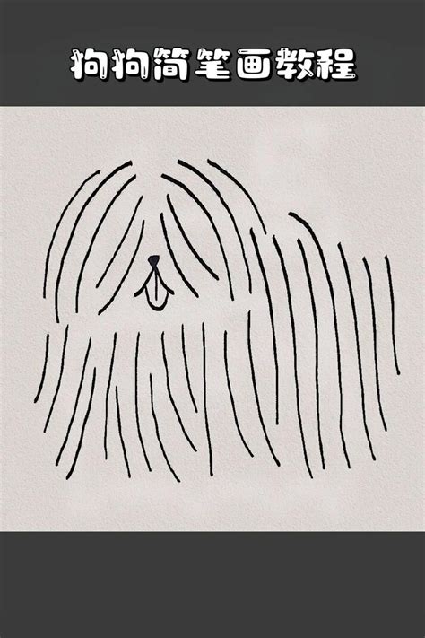 小狗简笔画视频 小狗简笔画视频大全可爱图片 画趣文库（我爱生活）