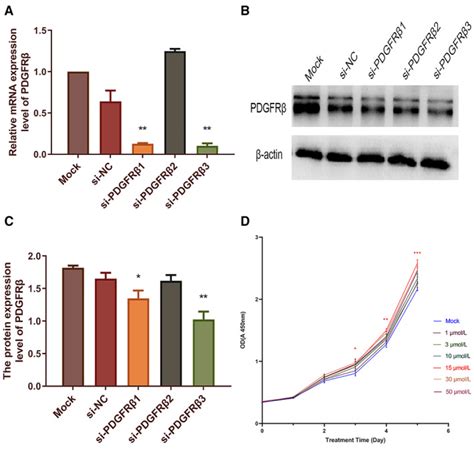 Down‐regulation Of Pdgfrβ Suppresses Invasion And Migration In Osteosarcoma Cells By Influencing