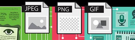 Best Web Design Infographics Infogrades
