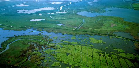 鄱阳湖介绍 江西鄱阳湖湿地公园旅游开发有限公司 鄱阳湖国家湿地公园