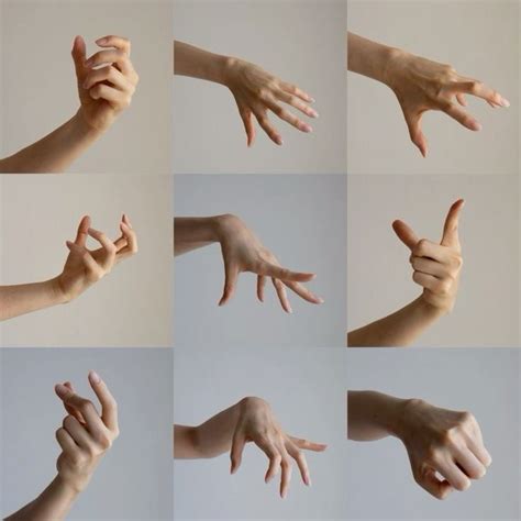 Hand References Not Mine Hand Reference Hand Drawing Reference