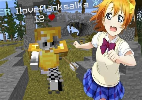 Create Meme Trolling Mod Minecraft A Girl In Minecraft Screenshot Pictures Meme