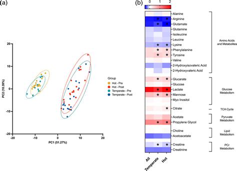 Acute Heat Stress Amplifies Exercise‐induced Metabolomic Perturbations