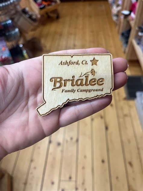 Brialee State Magnet
