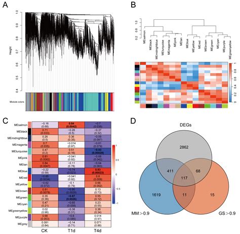 Combined Transcriptome And Metabolome Analysis Of Alfalfa Responses To