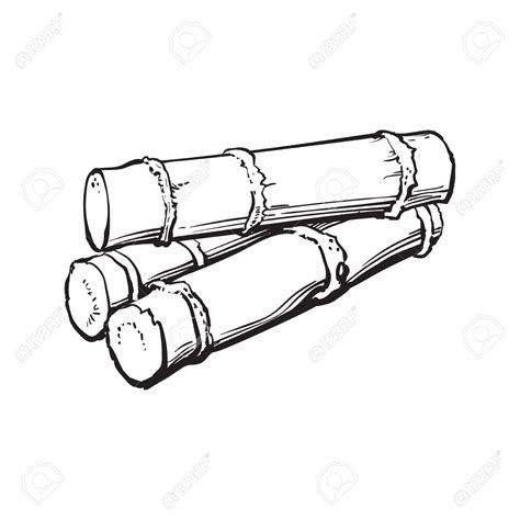 Sugar Cane Coloring Coloring Pages