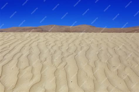 Premium Photo Texture Desert Land Sand Dunes Barkhans Deserts