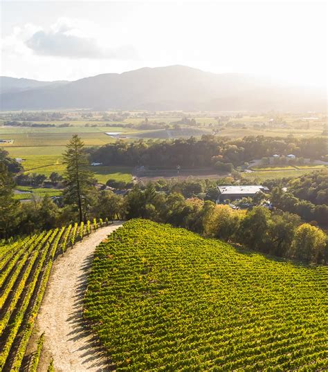 Rutherford Hill Winery
