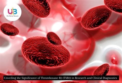 Unveiling Thromboxane B2 Txb2 Insights Into Research And Clinical Diagnostics