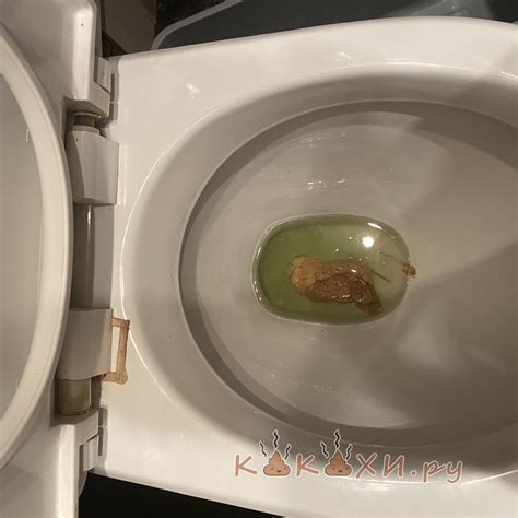 Инь янь Колбоса