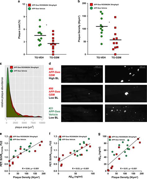Plaque Load In Both Tg Groups Assessed By Methoxy X04 Staining