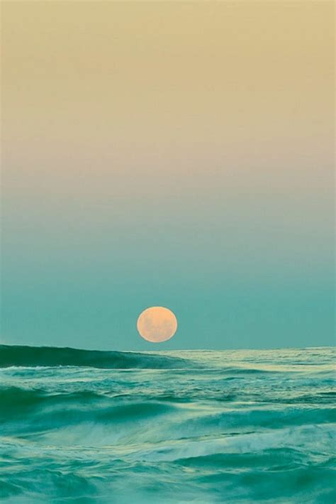 看着舒心捏 花瓣网