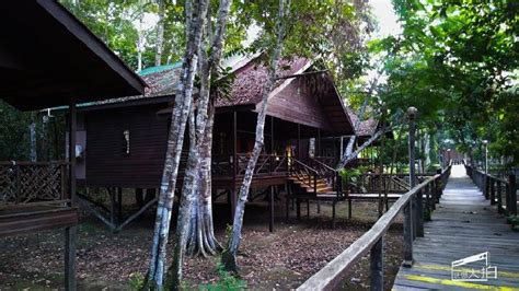 热带雨林建筑风格热带雨林的环境热带雨林丛林大山谷图库