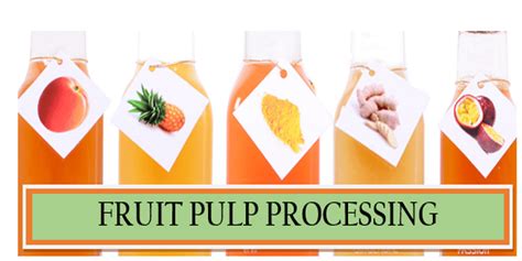 Fruit Pulp Processing