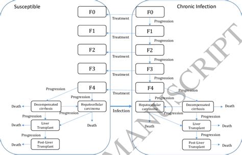Model Schematics Of Hcv Progression With Disease States Download Scientific Diagram