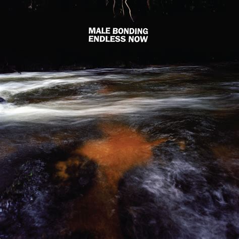 Male Bonding Endless Now Lyrics And Tracklist Genius