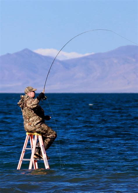 Ladder Fishing At Pyramid Lake Lake Tahoe Fishing Fishing Waders