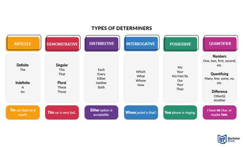 Determiner Definition Types List And Useful Examples Of Determiners In
