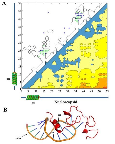 Figure S 3 Hiv 1 Nucleocapsid Coevolving Pairs Predicted By Cnpr A