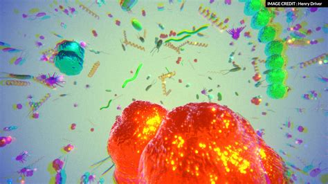 John Innes Centre Linkedin