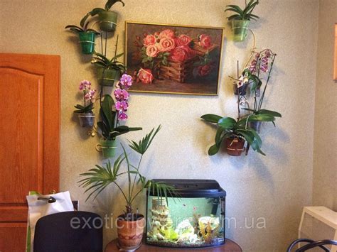 Подставка для цветов 5 орхидей "Змея-2" (ID#535389072), цена: 679.15 ...