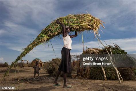 Dassenech Tribe Photos And Premium High Res Pictures Getty Images