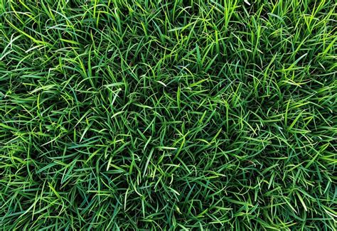 Photo Of Green Fake Grass Texture Pattern Background Design Premium