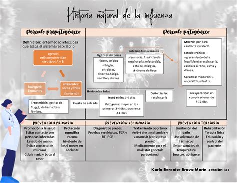 Historia Natural De La Influenza Historia Natural De La Influenza