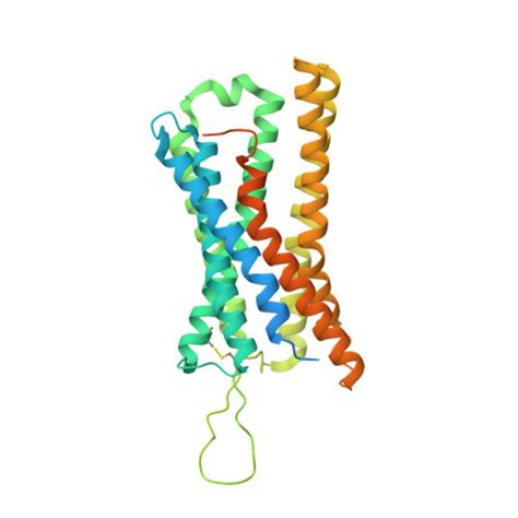 Rcsb Pdb 7xk8 Cryo Em Structure Of The Neuromedin U Receptor 2 Nmur2 In Complex With G